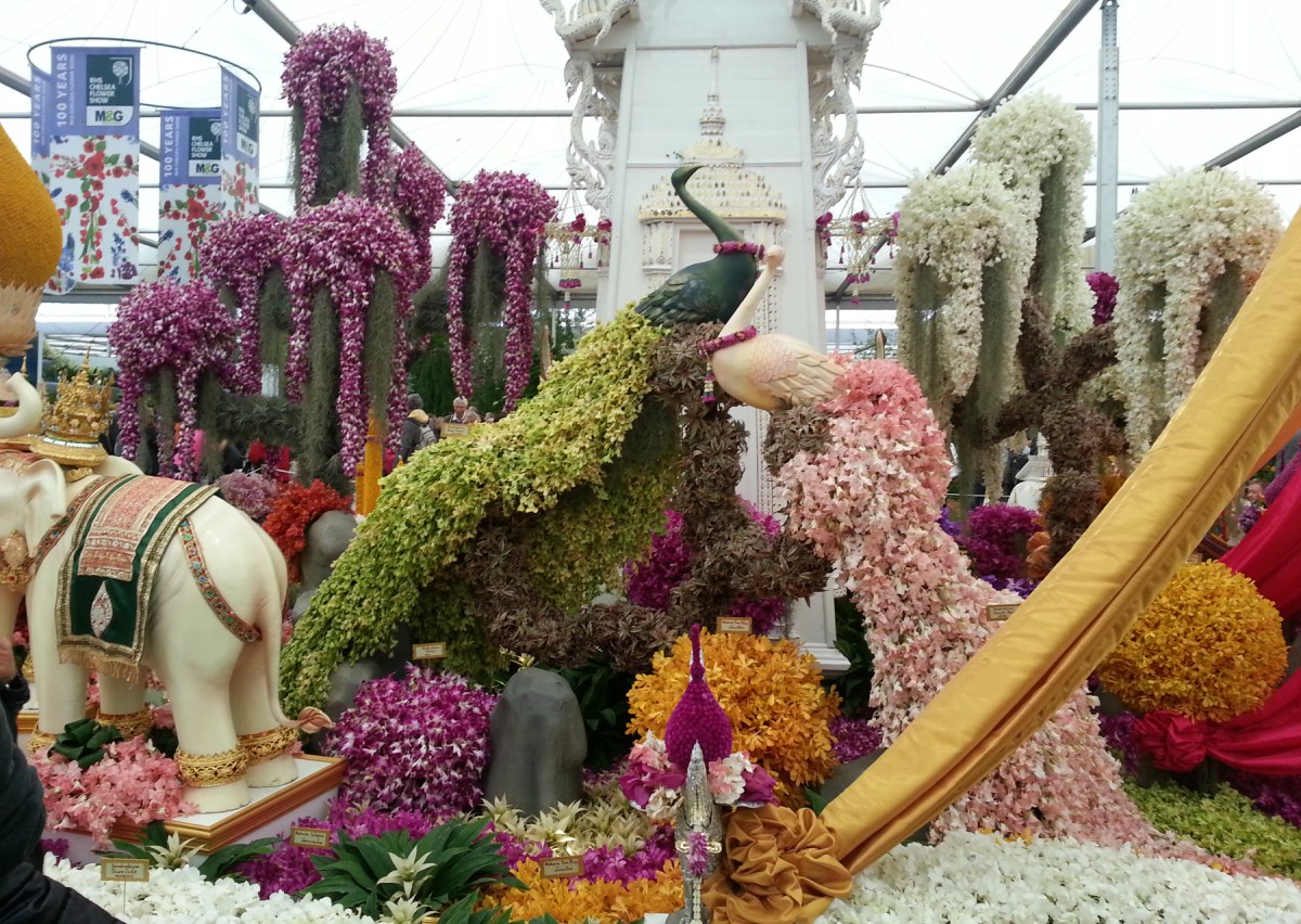 The prestigous Chelsea Flower Show – Wildfire Garden Bromeliad Nursery