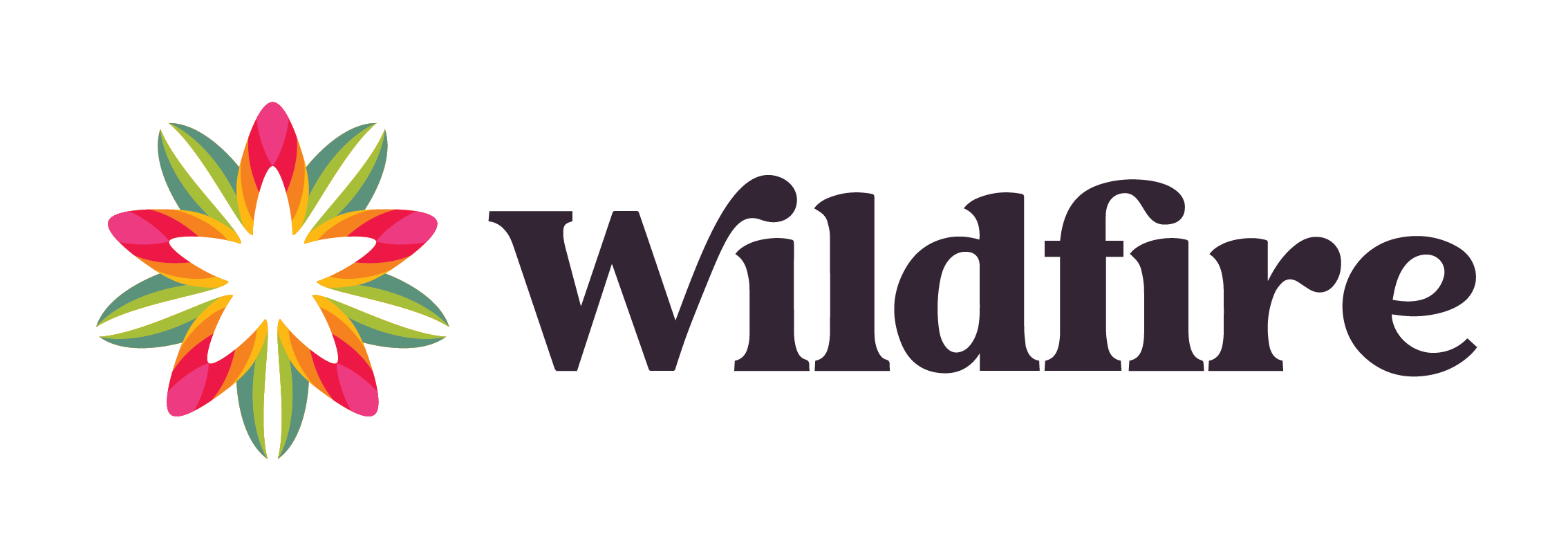 Wildfire Garden Bromeliad Nursery – Page 2 – Rare & exotic bromeliads ...